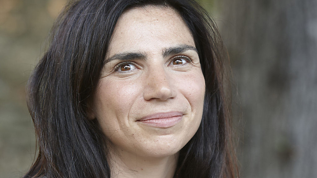 Dörlemann Verlag Zürich - Literaturpreis für den neuen Roman von Dana ...